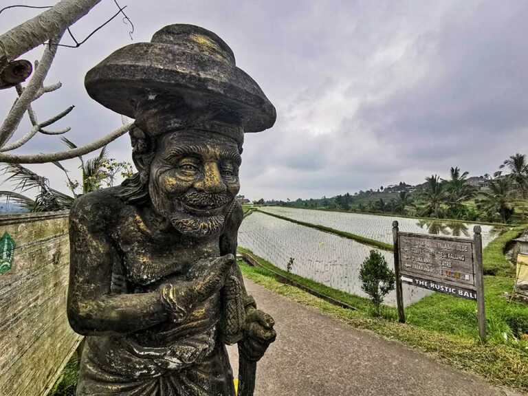 Booked & Loved: 3 Bali Tours & Day Trips With Private Driver