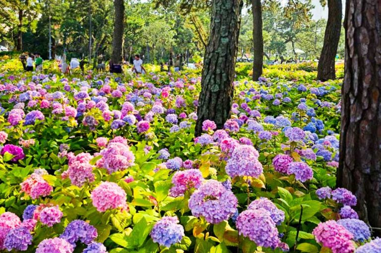 Wonder-Filled Things To Do at Haeundae Beach, Busan, South Korea