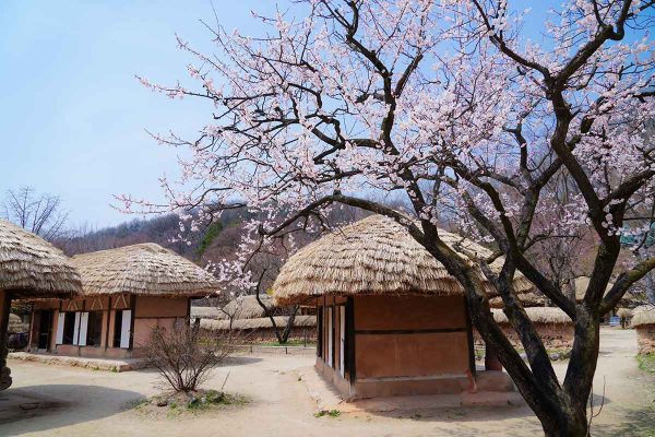 Best Hanok Villages: A Traveler's Guide to South Korea Homes