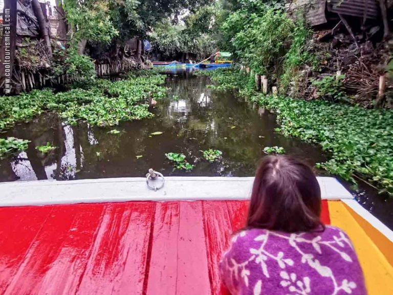 What to do in Xochimilco Mexico City: Floating Gardens & Magical Trajineras