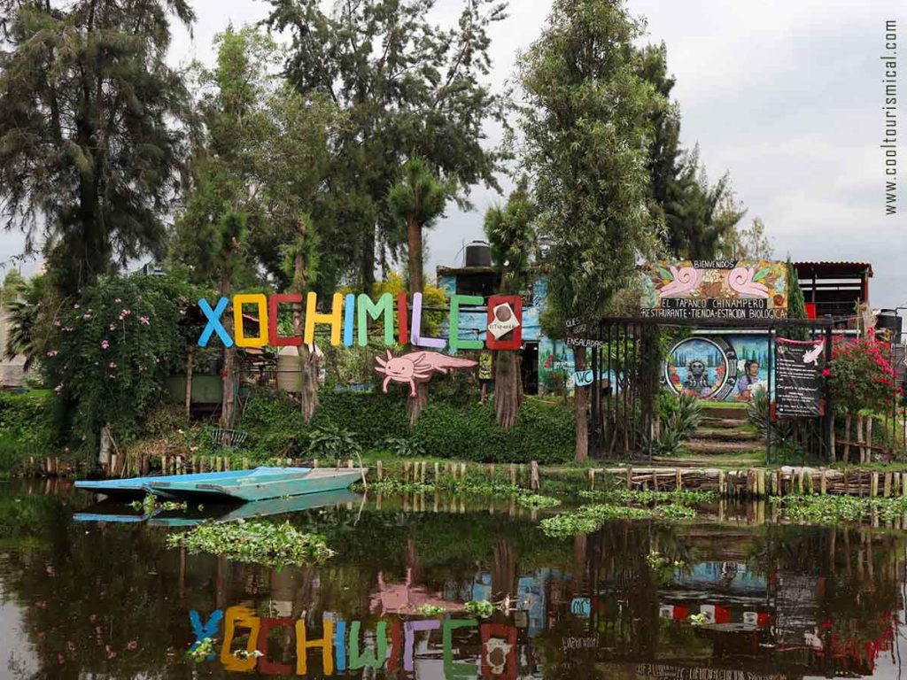 What to do in Xochimilco Mexico City: Floating Gardens & Magical Trajineras