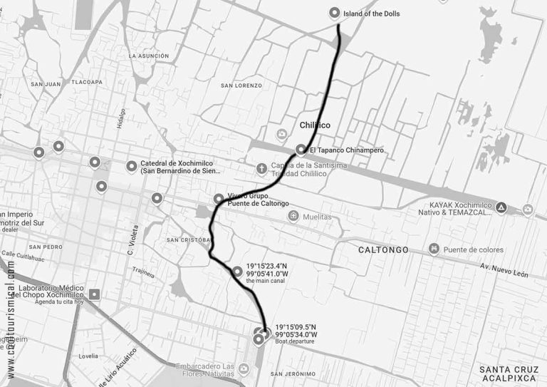 What to do in Xochimilco Mexico City: Floating Gardens & Magical Trajineras